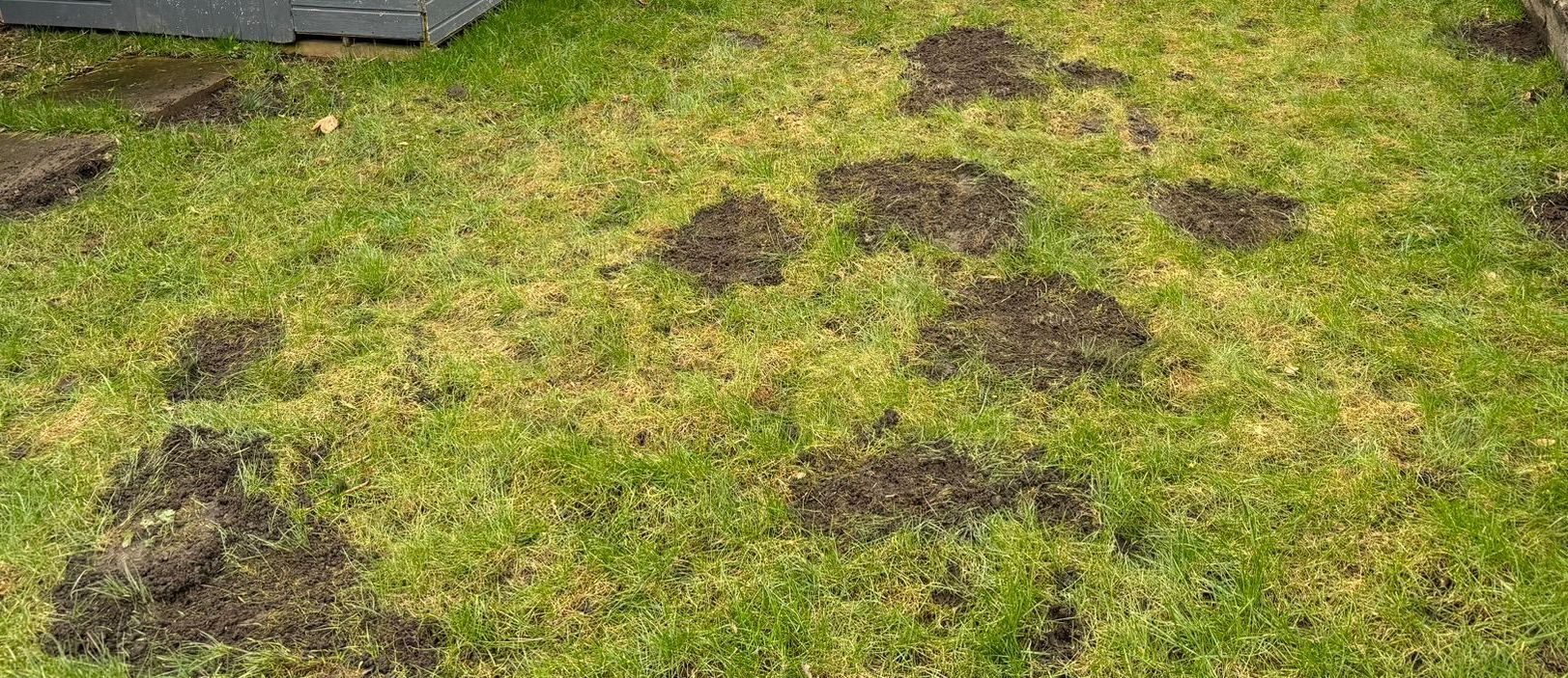 Mole Control | Pest Control For Garden Moles | Riddex Pest Control